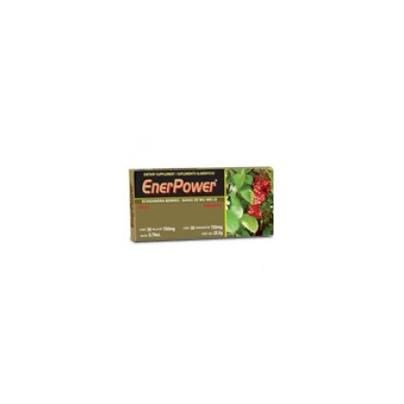 ENERPOWER